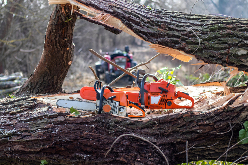 Complete RB Operate and maintain chainsaws VOC refresher training ...